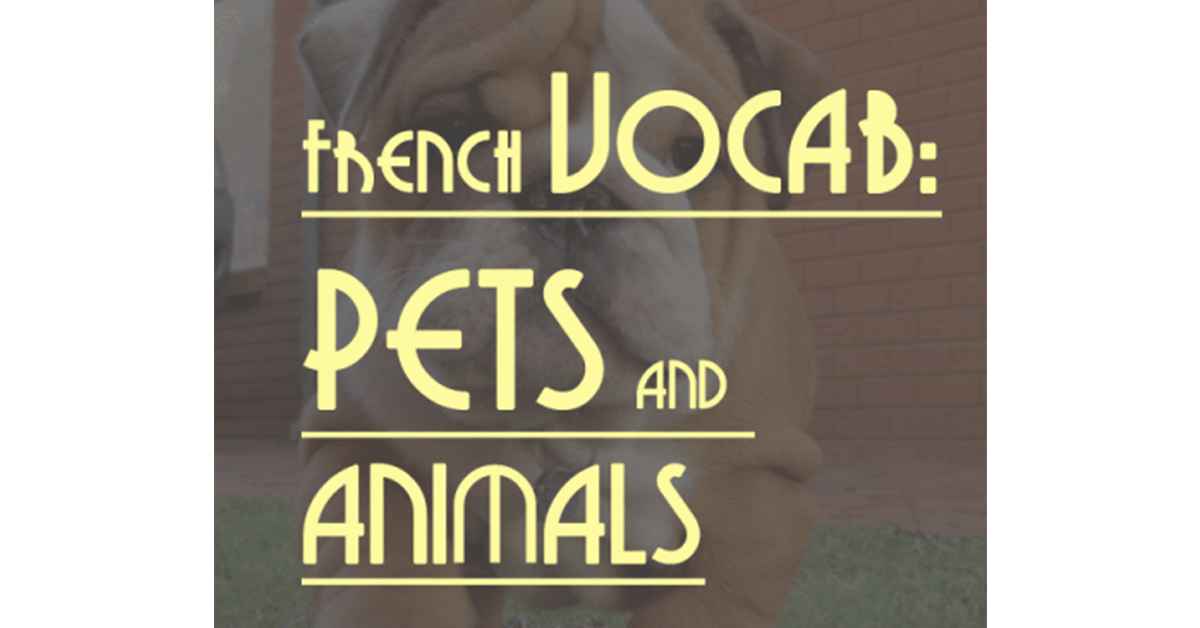 French Vocab: Pets And Animals - Talk in French French Vocab: Pets And Animals - Talk in French