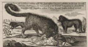 15 unfamiliar French mythical creatures | Talk in French