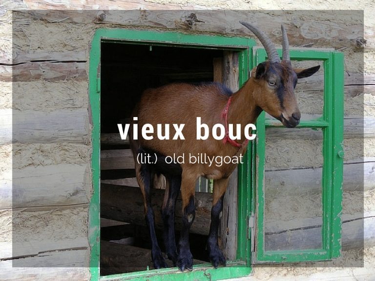 Goat-related French expressions and meanings | Talk in French